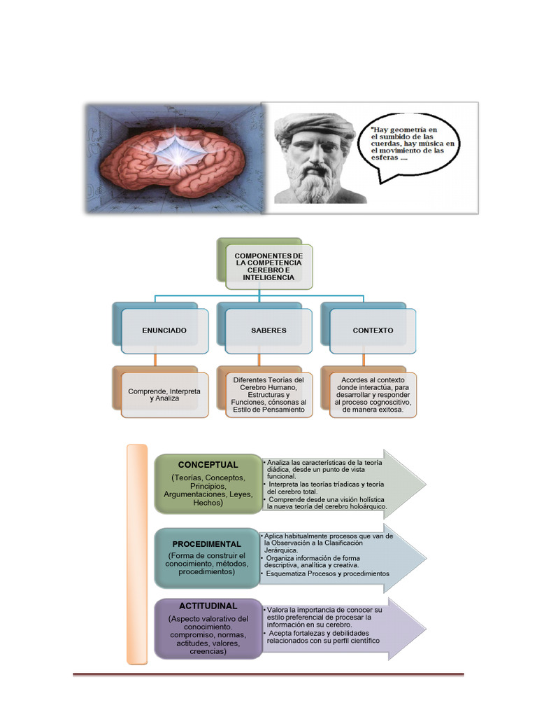 Capitulo I Libro DHD | PDF | Hemisferio cerebral | Pensamiento