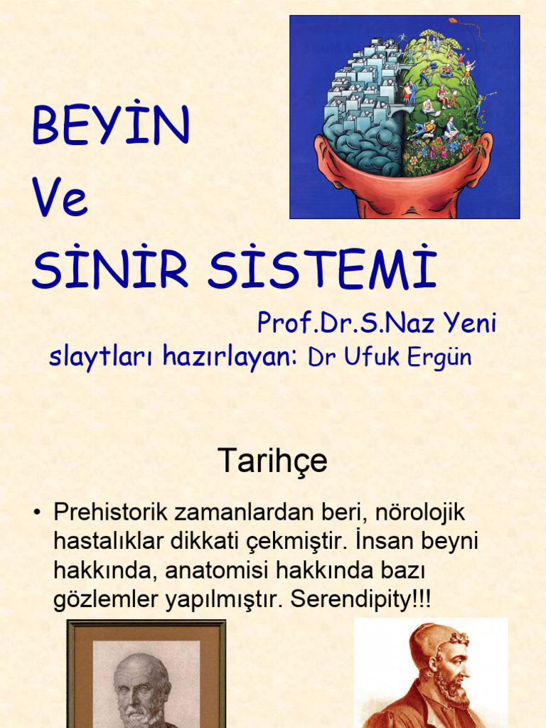 beyin ve sinir sistemi | PDF