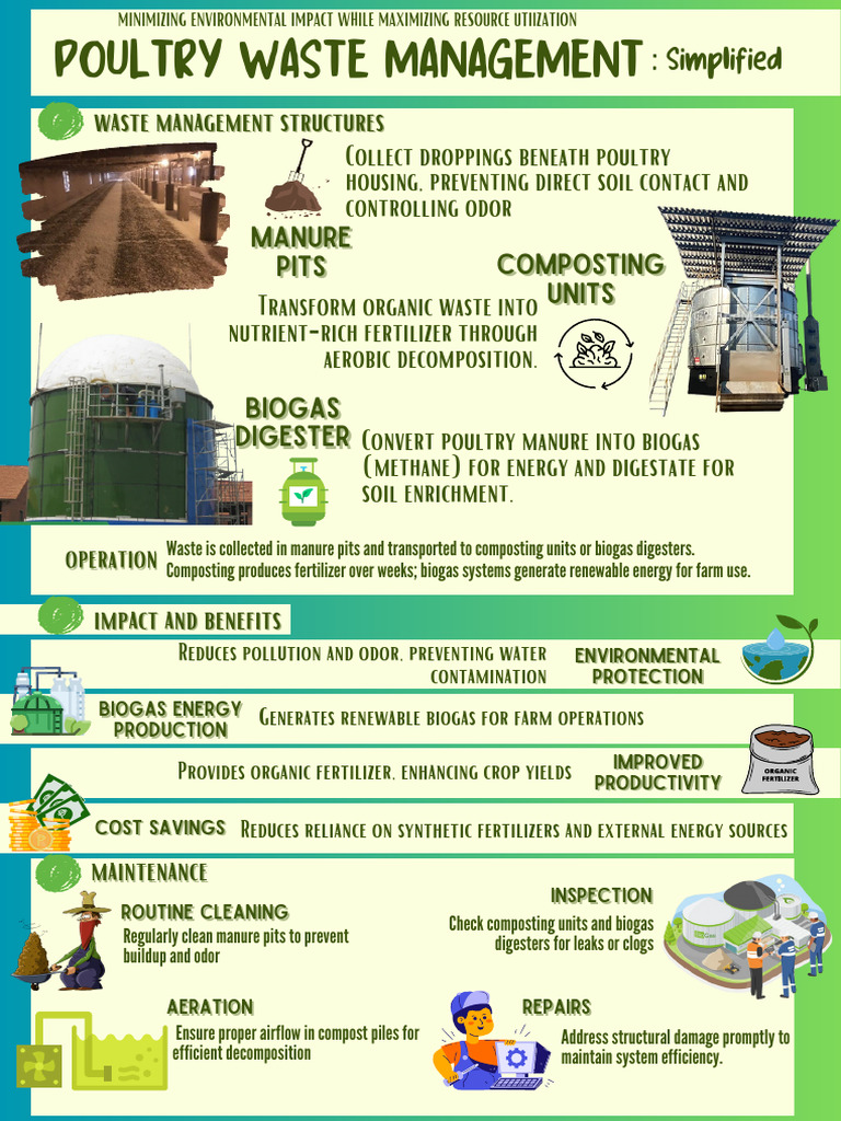 Group 5 Infographic Poultry Waste Management | PDF