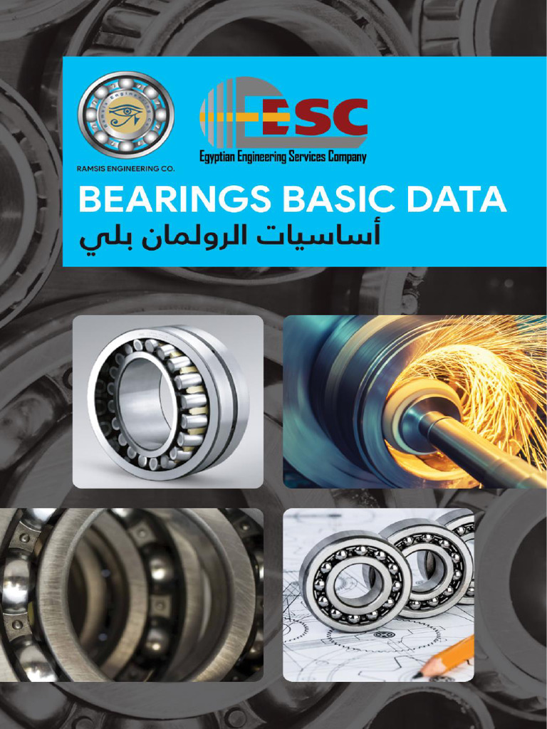 Bearing Basics | PDF