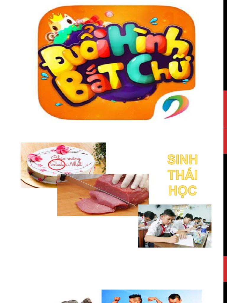 Bai 41 KHTN 8 KNTT | PDF