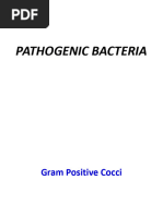 Encapsulated Vs Non Encapsulated Gram Positive Bacteria | PDF