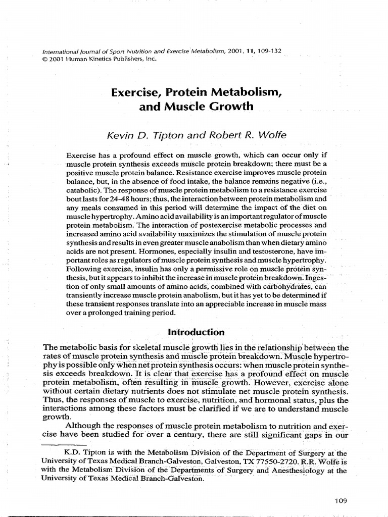 Exercise, protein metabolism, and muscle growth | PDF