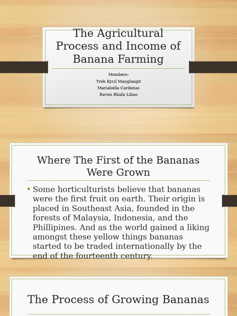 Banana Process and in Come | PDF | Banana | Agriculture