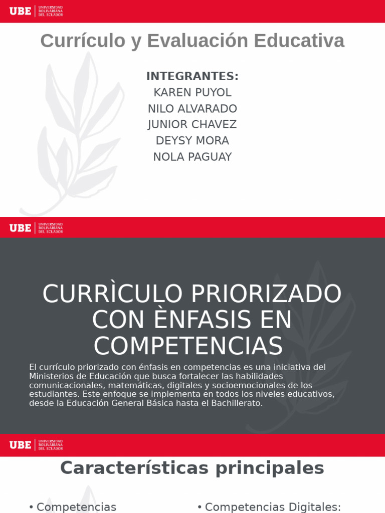 Currículo Prioritario por Competencias | PDF | Plan de estudios | Cognición