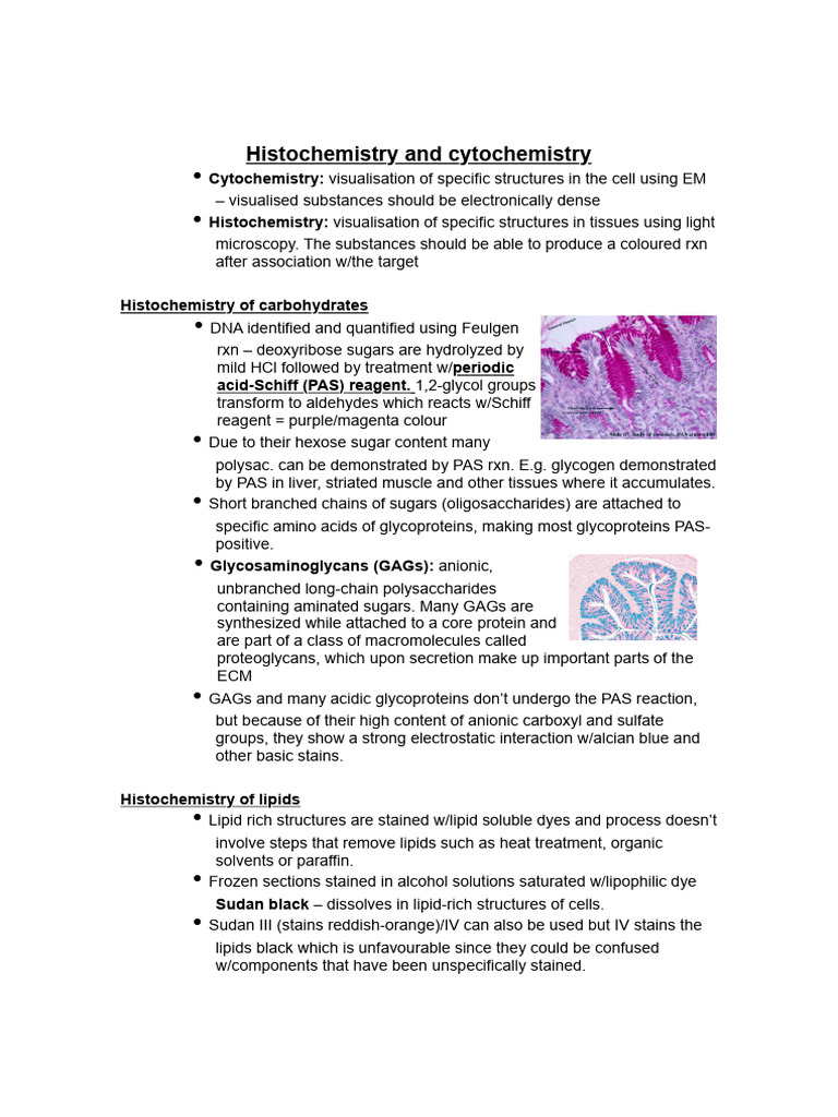 2 - Histochemistry and cytochemistry.docx | PDF | Staining ...