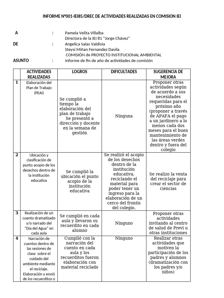 INFORME PEAI 2024 | PDF