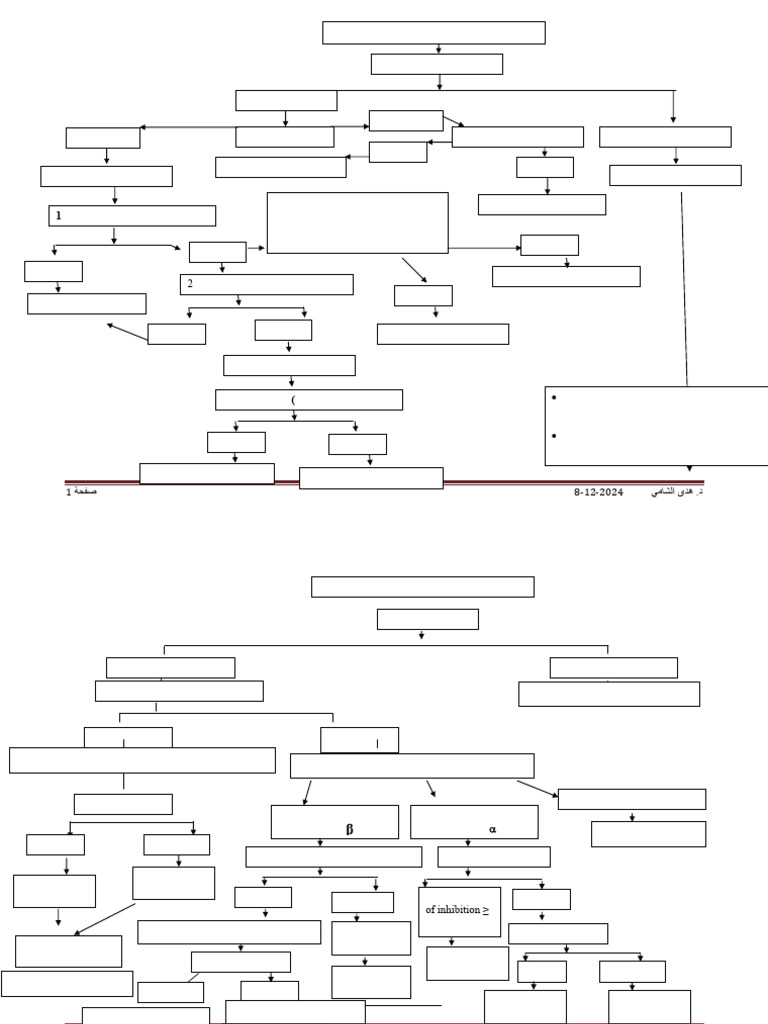 2a Schem For Gram Positve Identification0 | PDF | Streptococcus | Gram Negative Bacteria