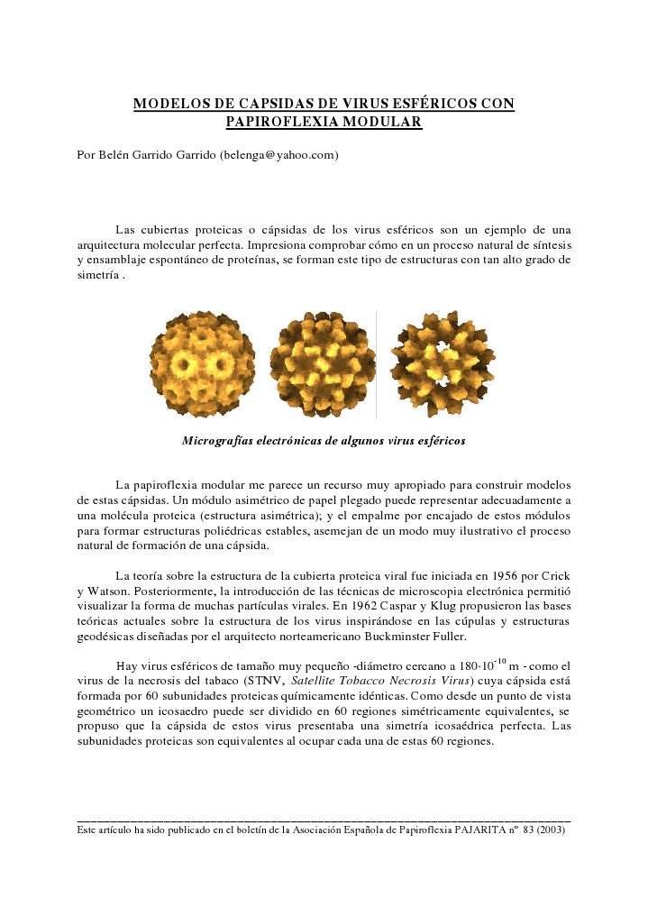 Virus | PDF | Origami | Virus