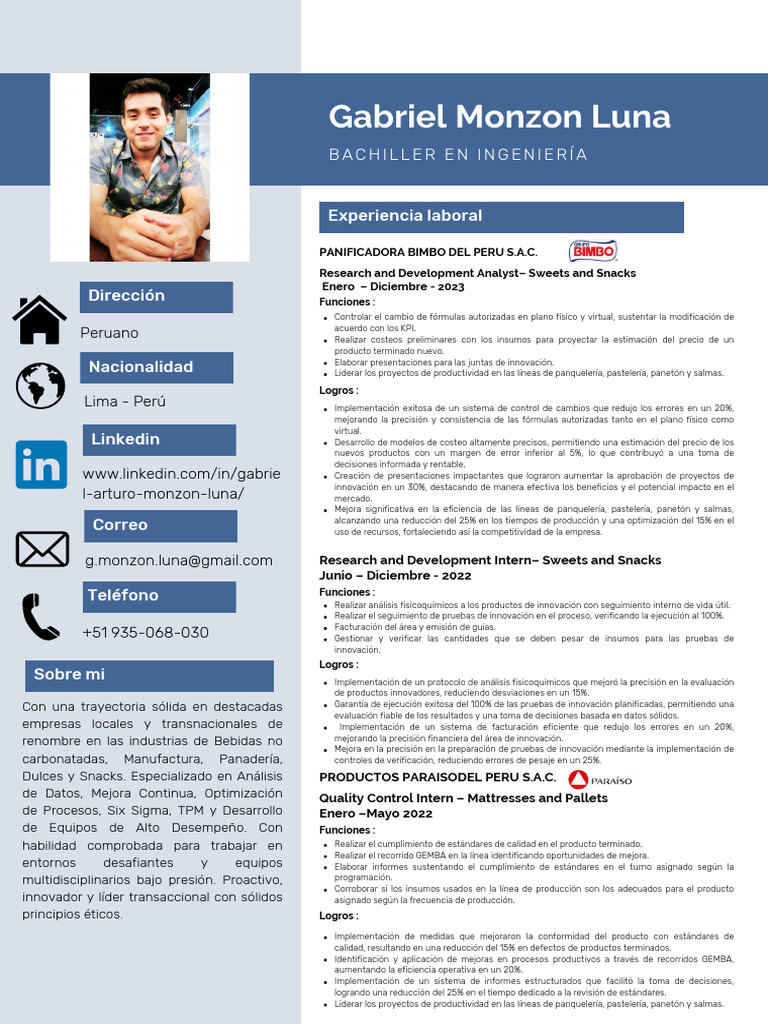 Cv Gabriel Arturo Monzon Luna | PDF | Calidad (comercial) | Innovación