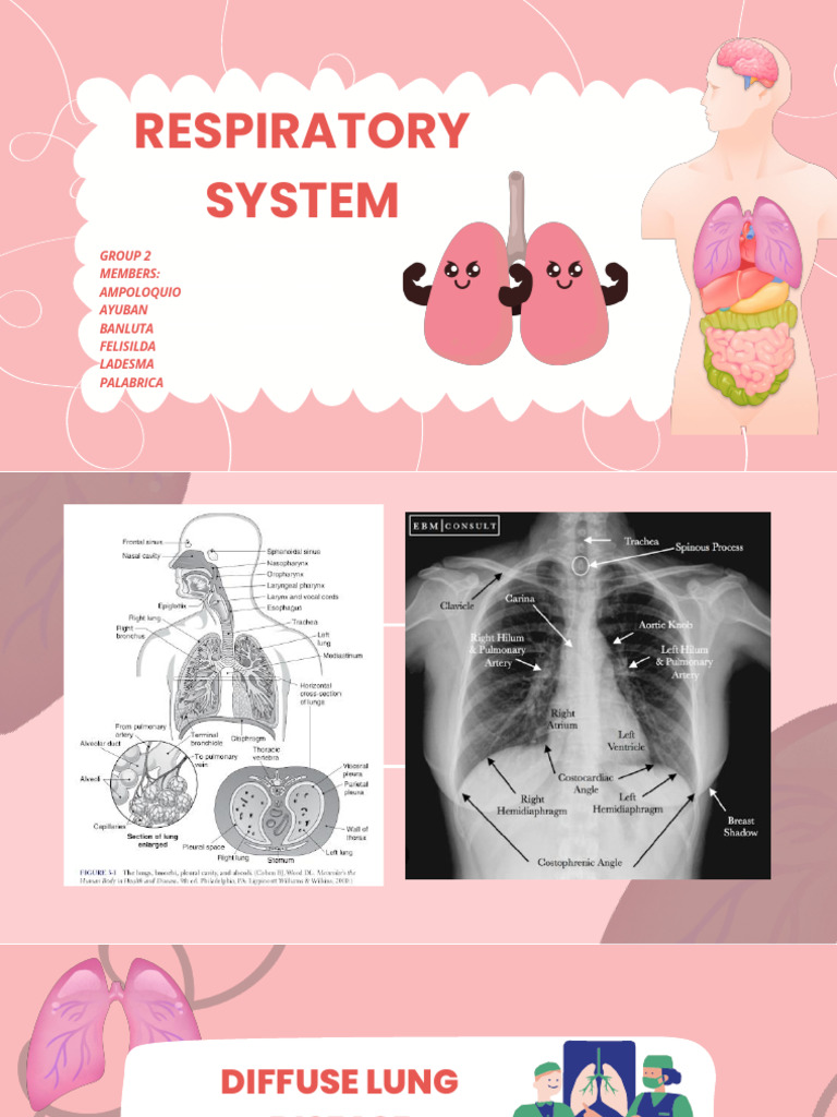 Group 2 Respi System | PDF | Chronic Obstructive Pulmonary Disease | Asthma