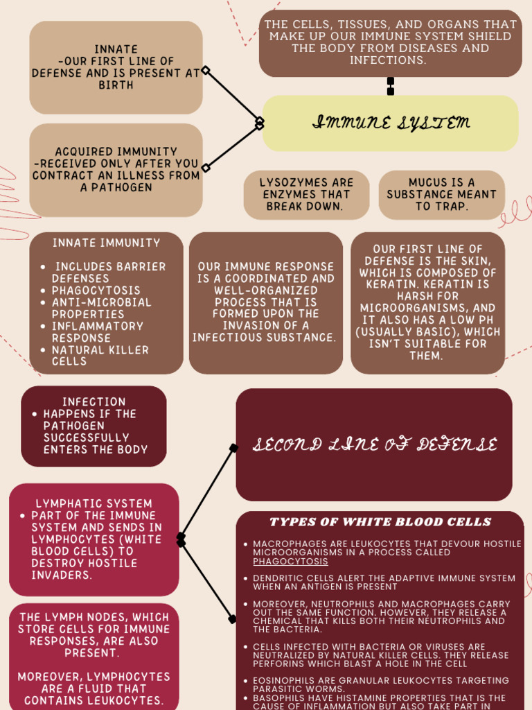 Immune System 1 Pdf Immune System Innate Immune System