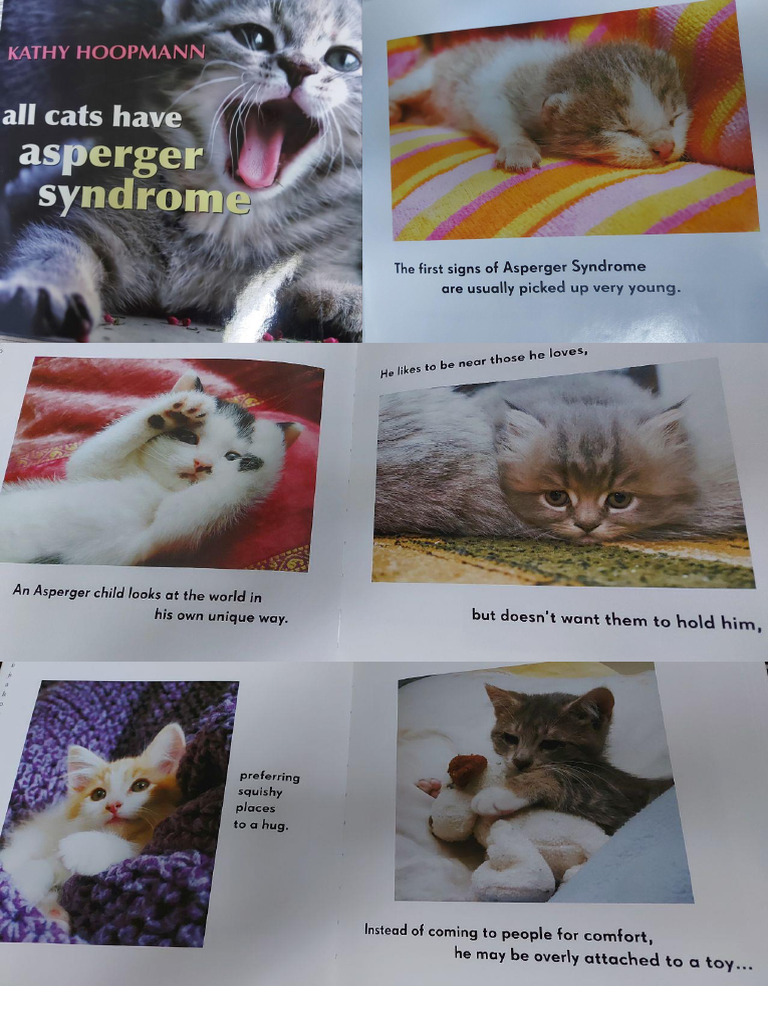 Kathy Hoopmann - All Cats Have Asperger Syndrome | PDF