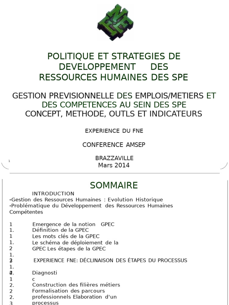 GPEC: Stratégies RH pour les SPE | PDF | Gestion des ressources humaines | Compétence ...
