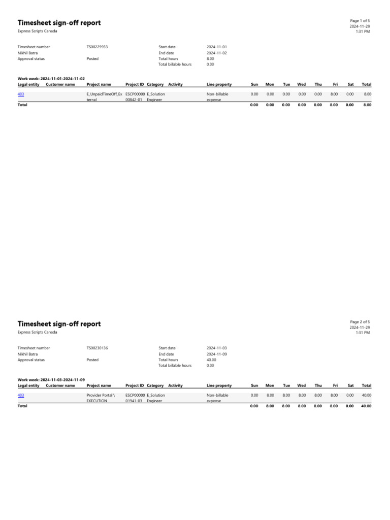 Nikhil Batra November 2024 Timesheet | PDF