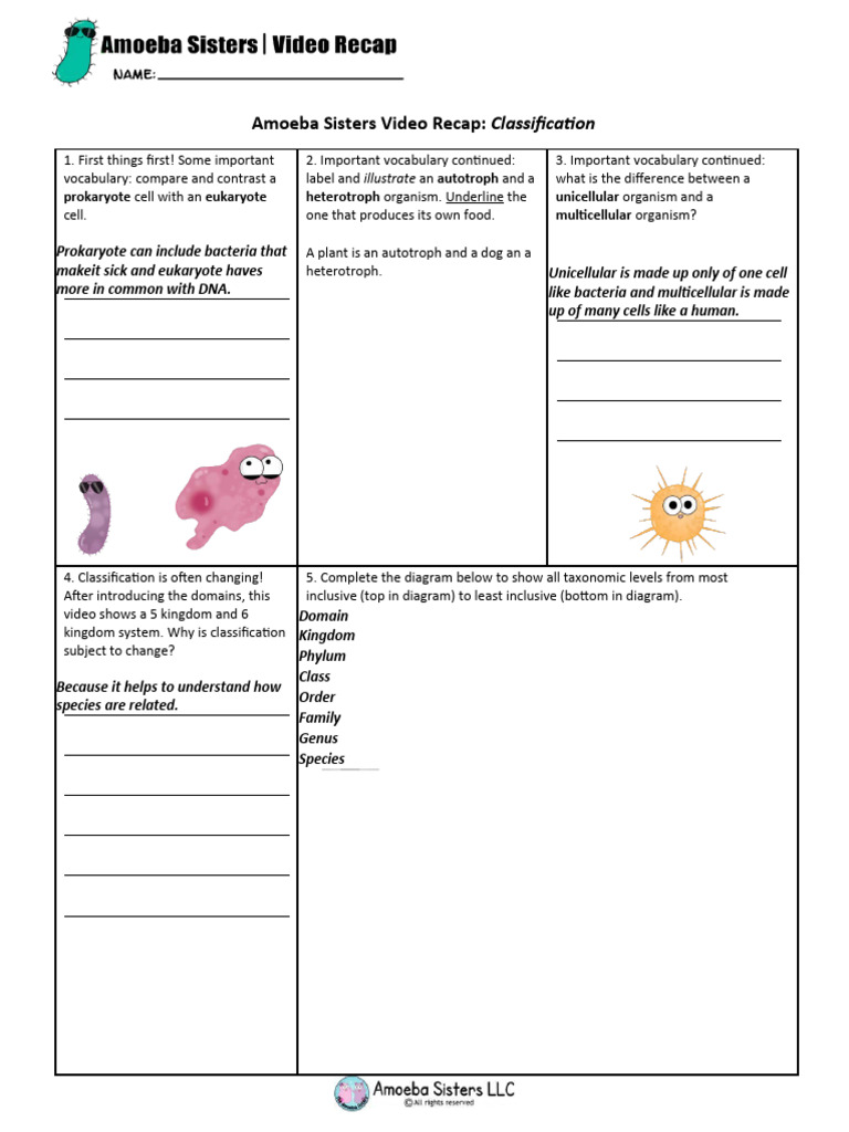 Amoeba Sisters: Cell Classification Guide | PDF | Eukaryotes | Prokaryote