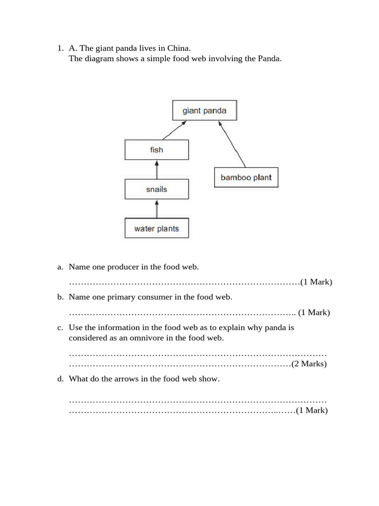 Grade 7 - Science Test | PDF