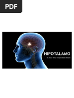 Anatomía Del Hipotálamo e Hipófisis - NeuroWikia | PDF | Hipotálamo ...