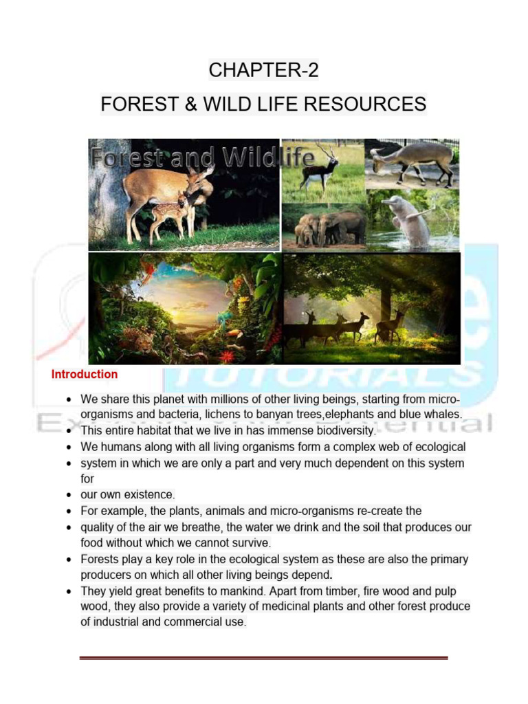 Forest and Wildlife | PDF | Biodiversity | Conservation Biology