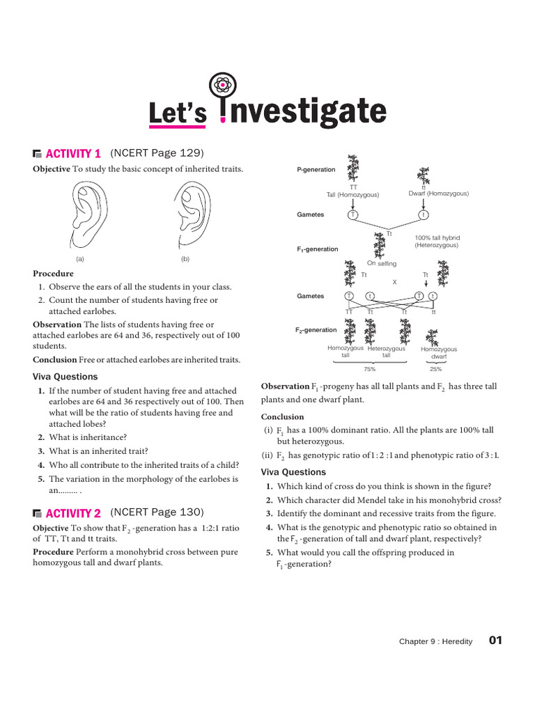 AIO 10th Science Ch. 8 Activity | PDF | Biological Evolution ...