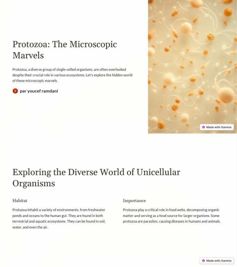 Protozoa-The-Microscopic-Marvels | PDF