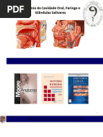 Anatomia da Cavidade Oral e Estruturas | PDF | Língua | Boca