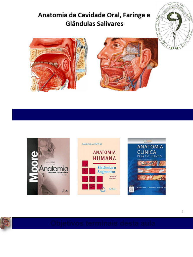 Anatomia Da Cavidade Oral e Glandulas Salivares | PDF | Boca | Dente humano