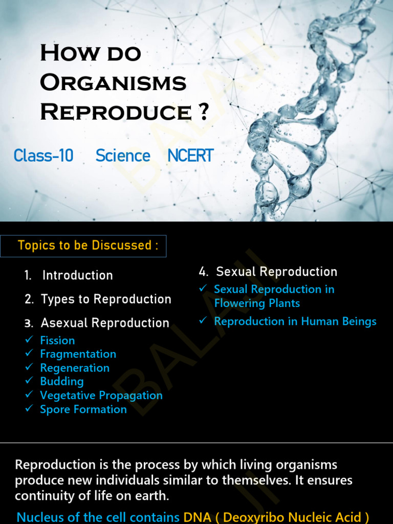 How Do Organisms Reproduce | PDF | Reproduction | Fertilisation