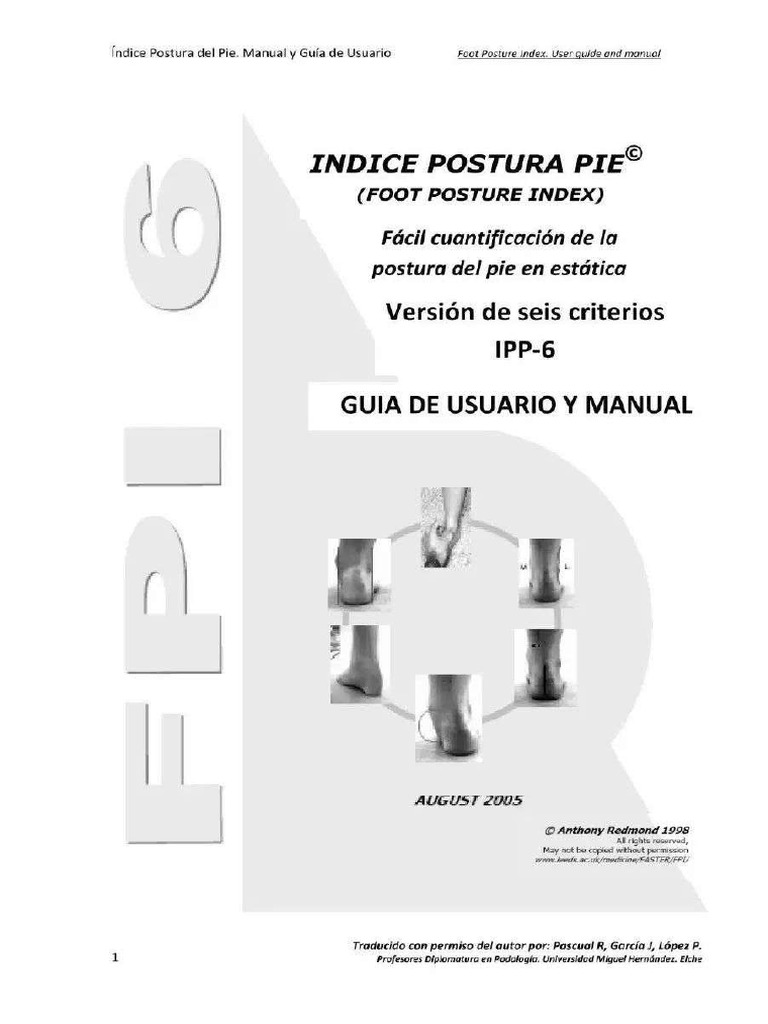 Fpi 6 | PDF