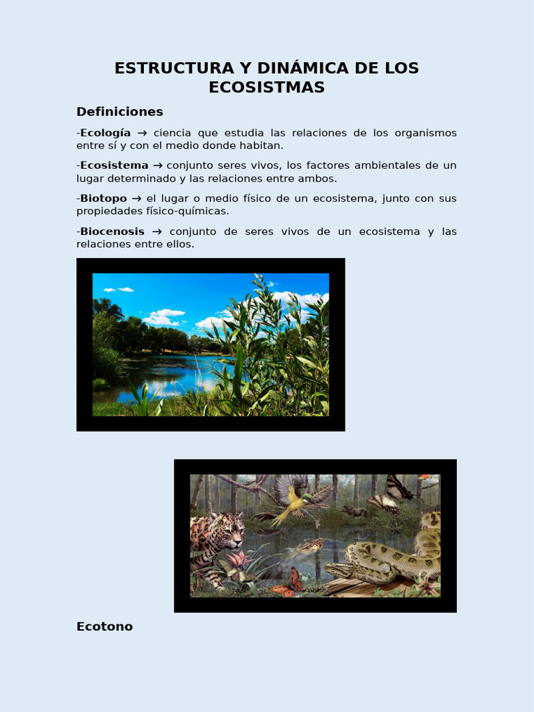 Estructura y Dinamica de Los Ecosistemas | PDF | Ecosistema | Habitat