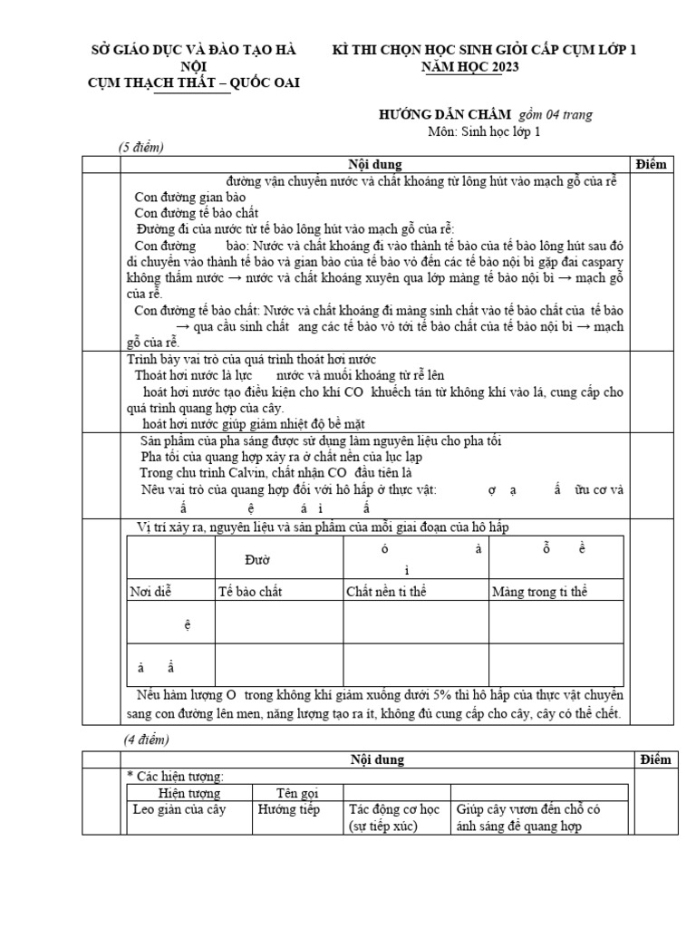 SINH HỌC 11 - HDC CHÍNH THỨC HSG CỤM 23-24 | PDF