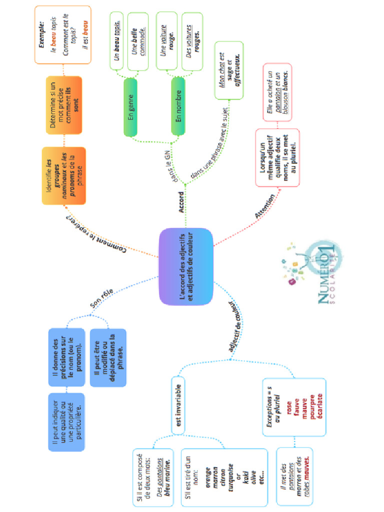 Laccord Des Adjectifs Et Adjectifs de Couleur | PDF