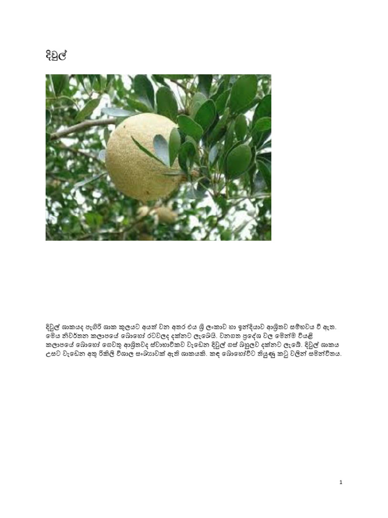 Wood Apple | PDF