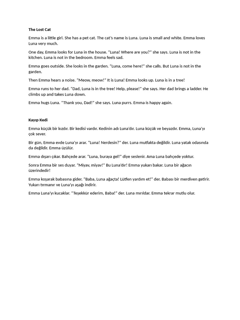 The Lost Cat (For A1) | PDF
