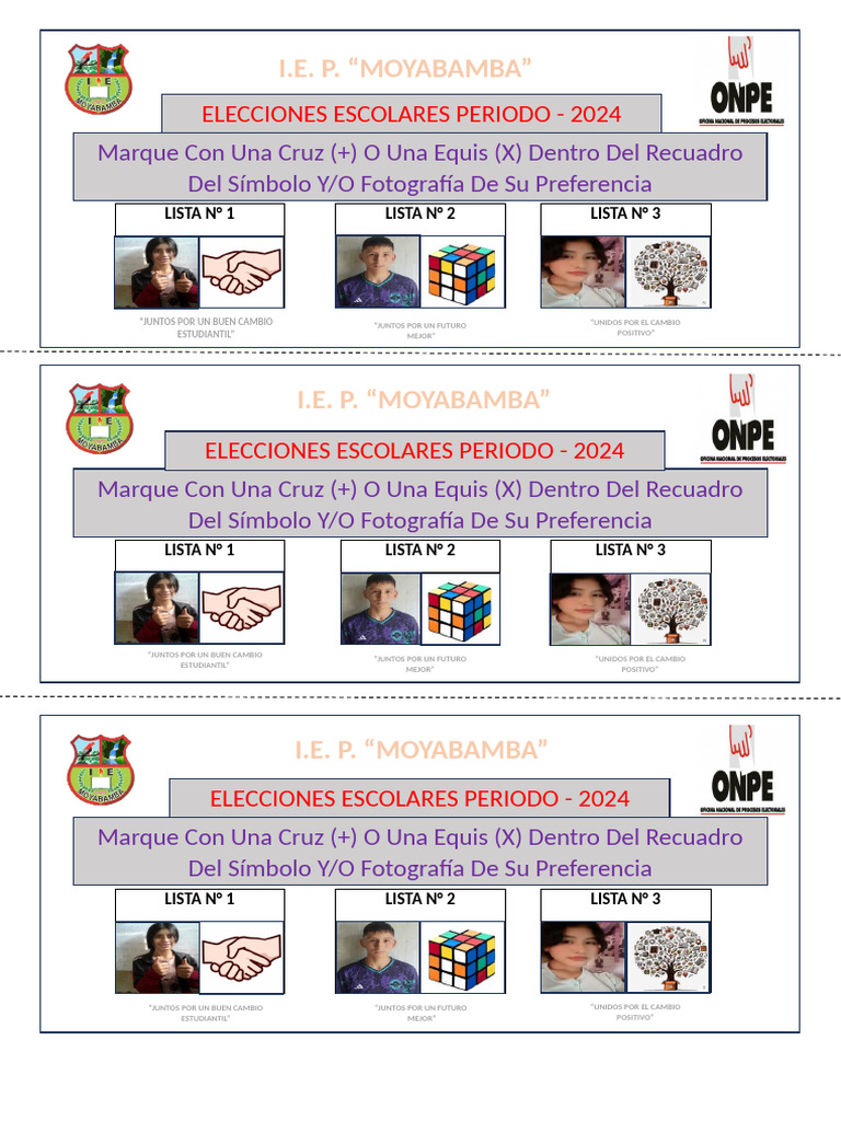 Cedulas Muni. Esc. 2024 | PDF