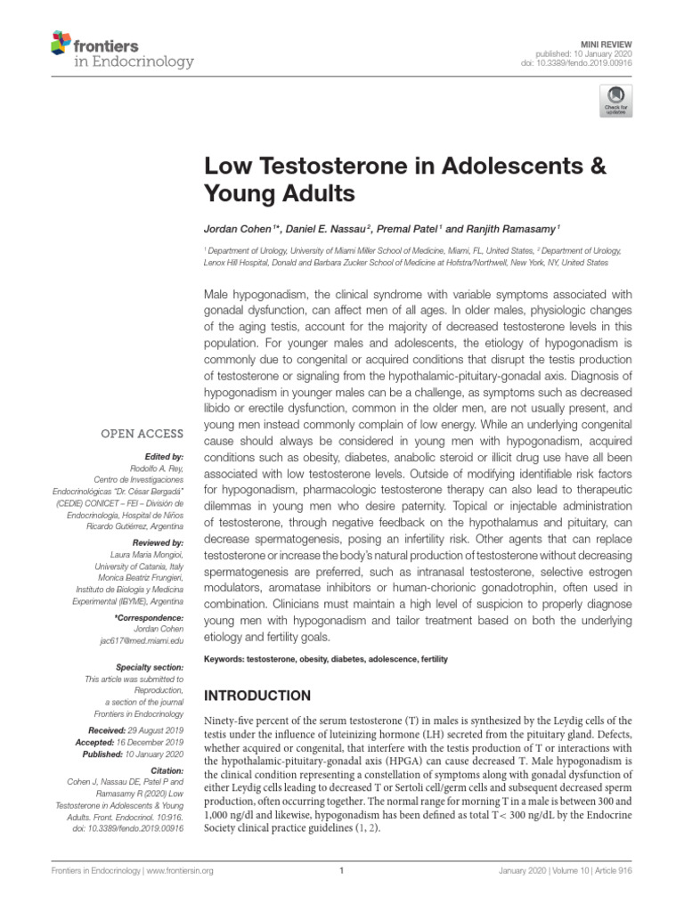 Low Testosterone in Adolescents & Young Adults | PDF | Testosterone ...