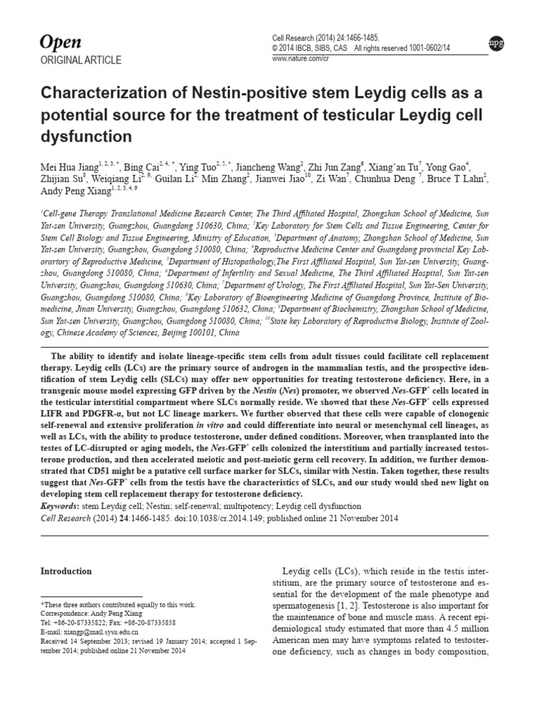 Characterization of Nestin-Positive Stem Leydig Cells As A Potential ...