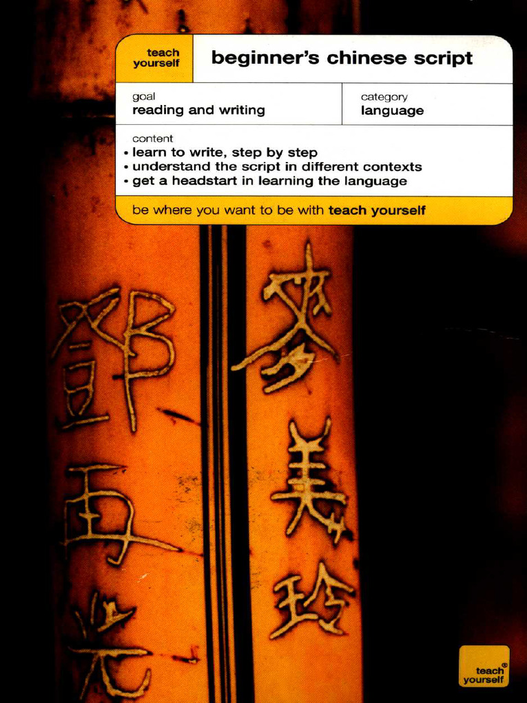 Teach Yourself Beginners Chinese Script (Elizabeth Scurfield and Song ...