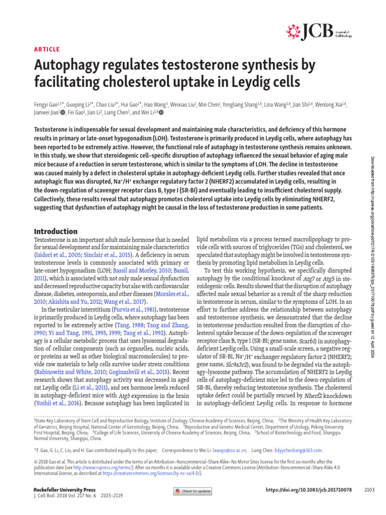 Autophagy Regulates Testosterone Synthesis by Facilitating Cholesterol ...