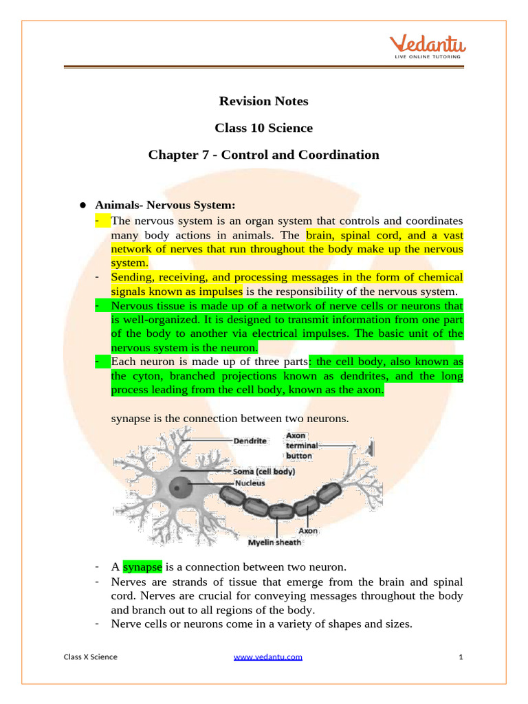 Cbse Class 10 Science Notes Chapter 7 Control and Coordination | PDF ...