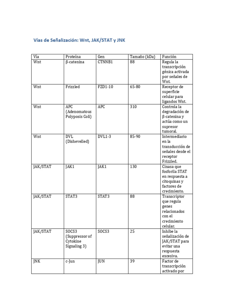 Vias WNT JAK STAT JNK | PDF | Transducción de señales | Comunicación ...