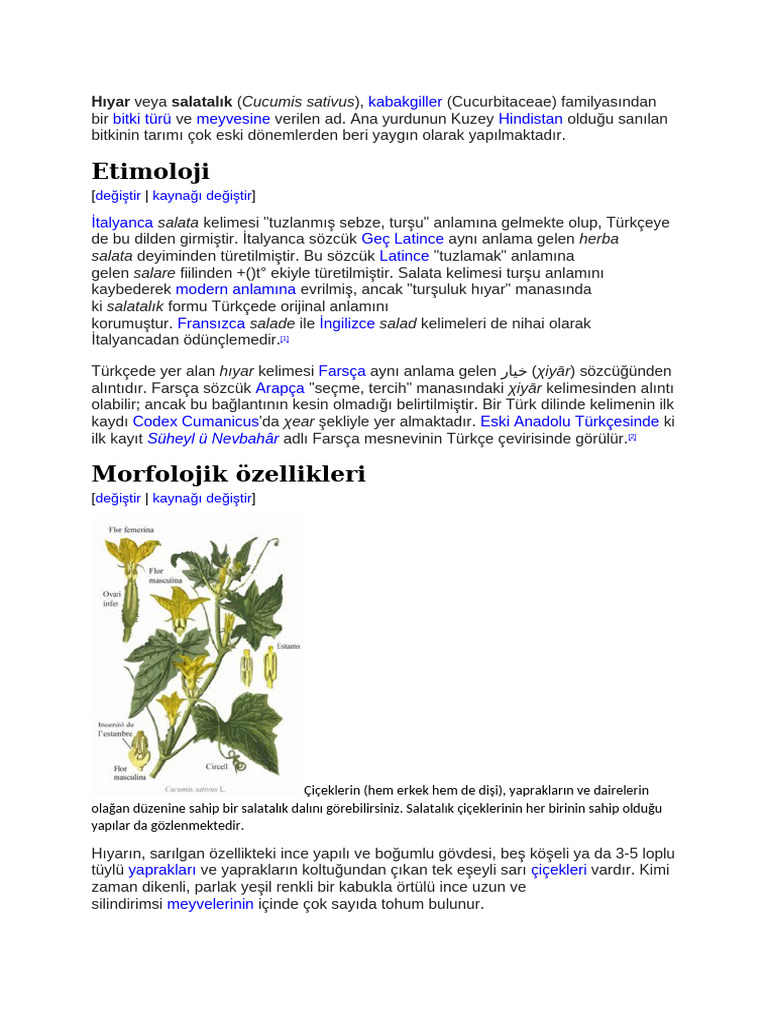 Salatalik | PDF