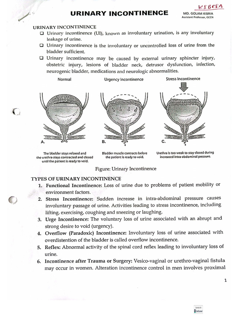 Urinary Incontinence | PDF
