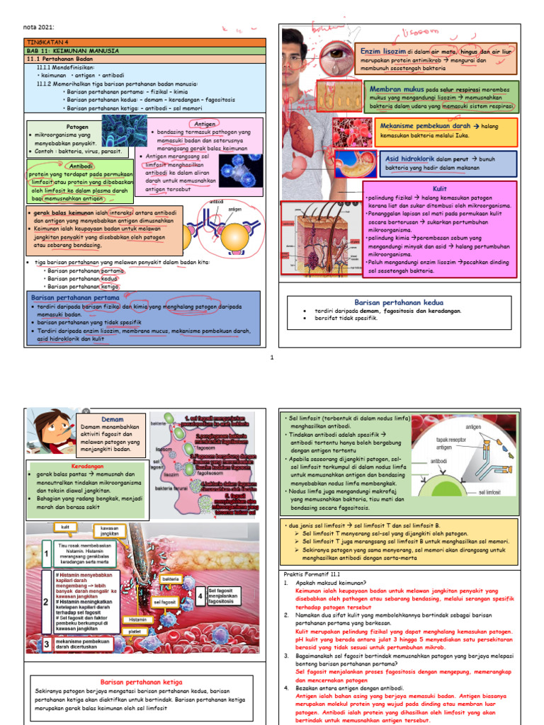 SEMAK NOTA Cepat2021bab 11 A | PDF