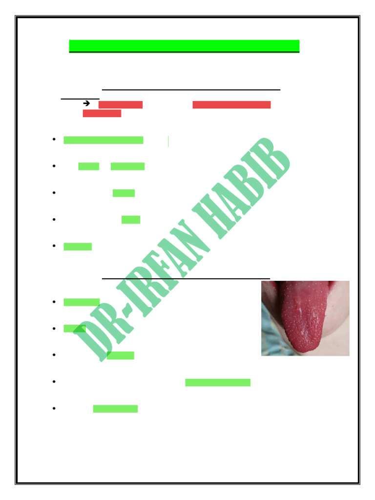 ospe 1 | PDF | Esophagus | Larynx