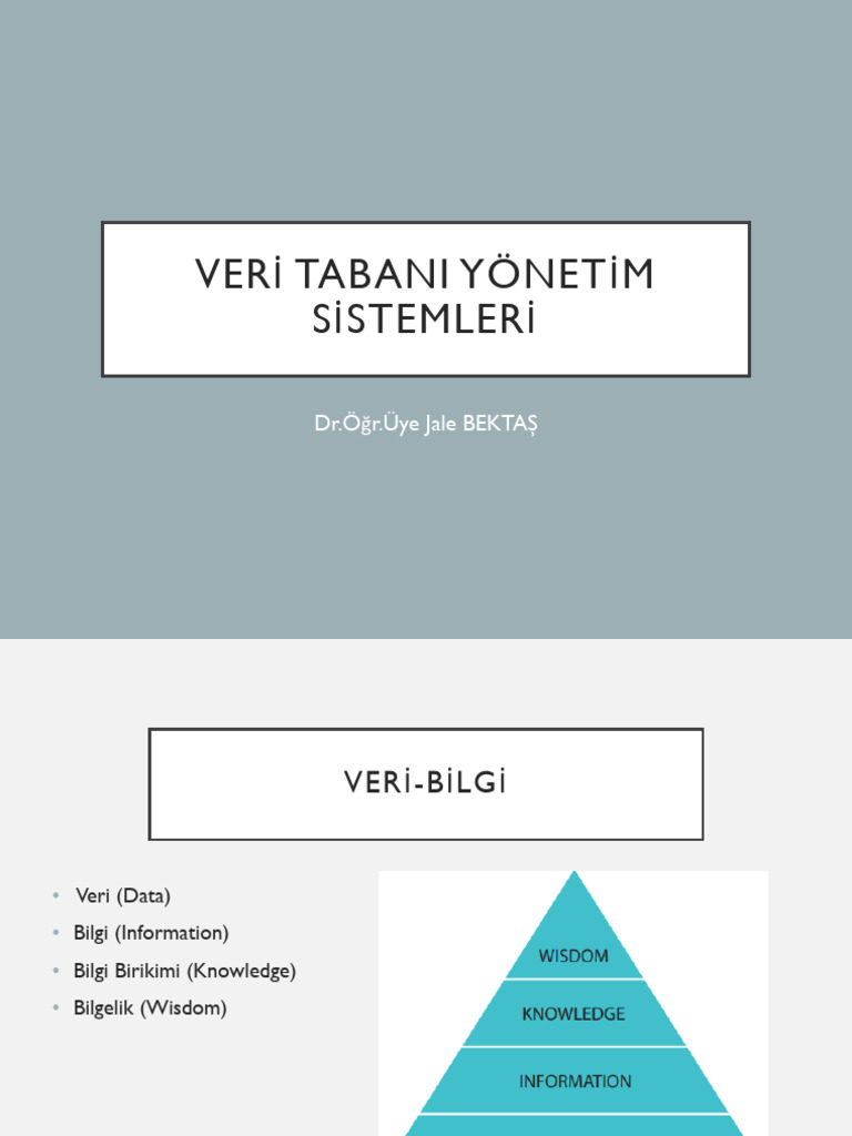 VTYS_1 | PDF