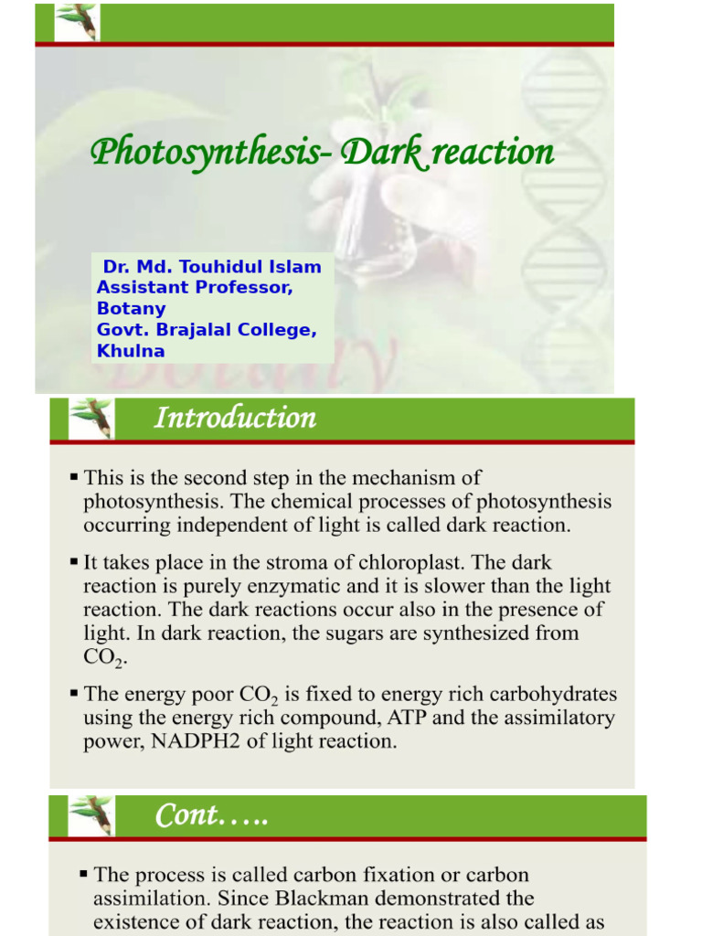 Photosynthesis Dark Reaction | PDF