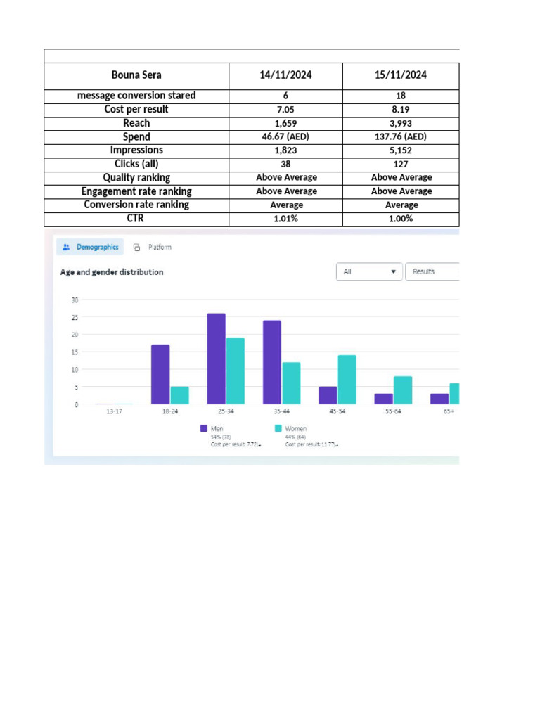 Bouna Sera - Conversion Nov | PDF | Digital Marketing | Marketing