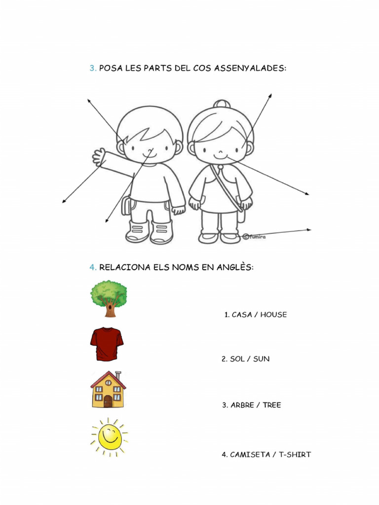 DOSSIER ESTIU 1 Cicle EP | PDF