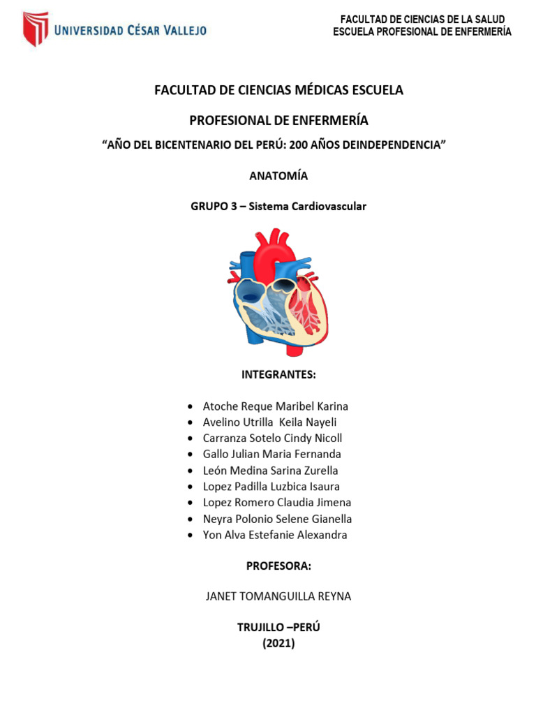 Guía Sistema Cardiovascular I | PDF | Ventrículo (corazón) | Corazón